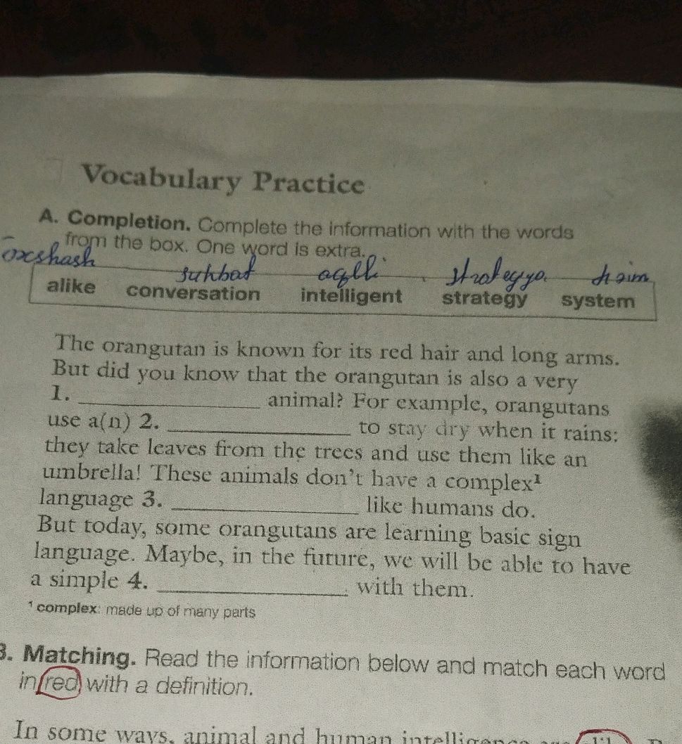 A. Completion. Complete the information with | StudyX