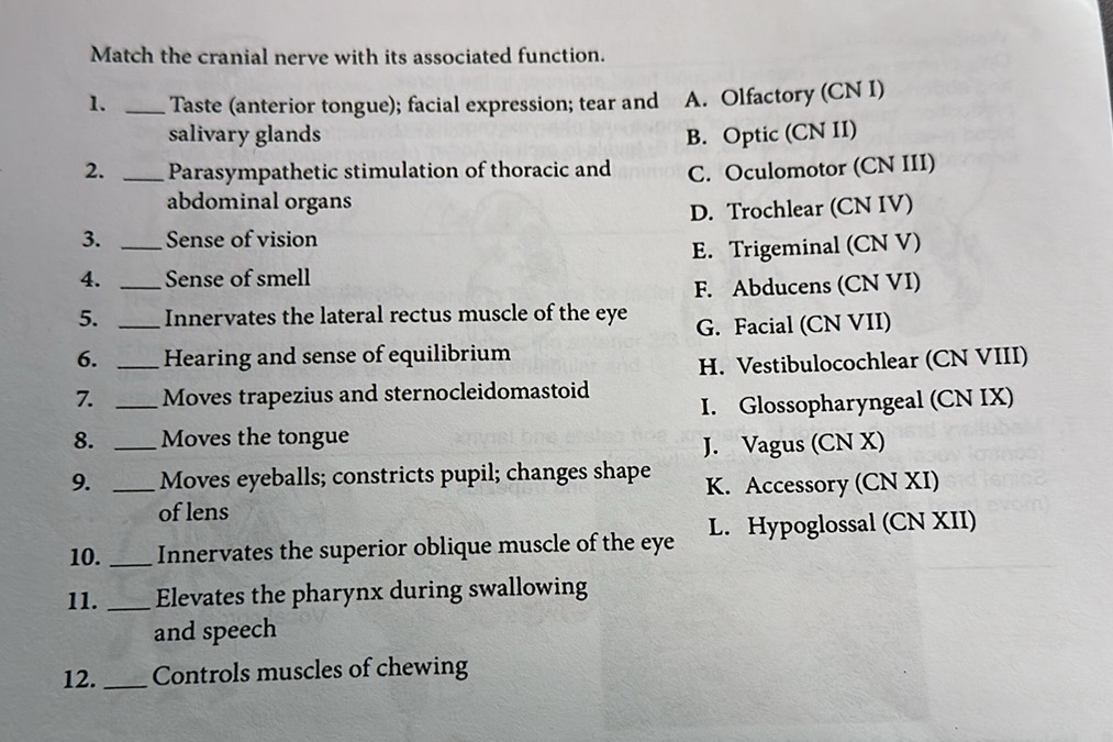 Match the cranial nerve with its associated | StudyX
