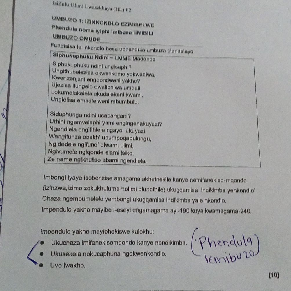 Fundisisa le nkondlo bese uphendula umbuzo | StudyX