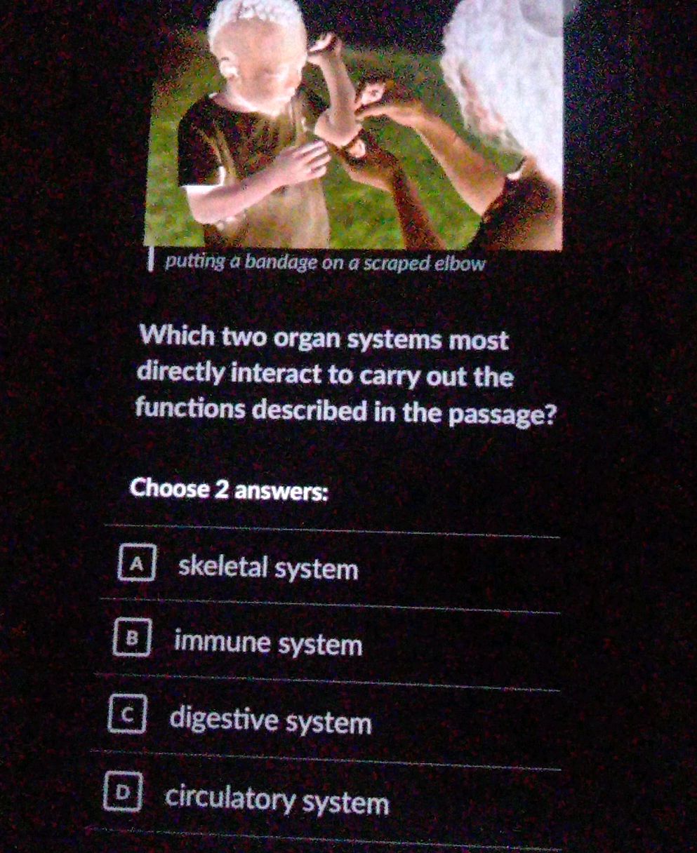Which two organ systems most directly