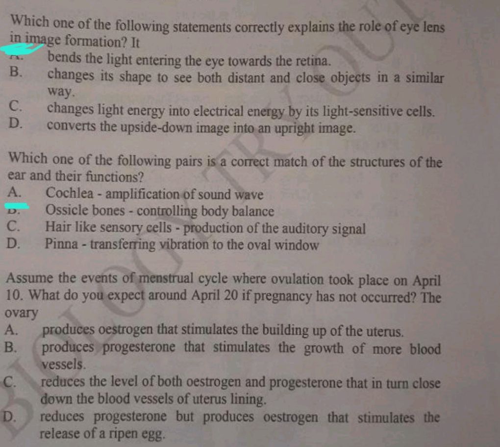 Which one of the following statements | StudyX