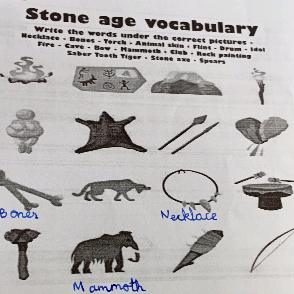 Stone age vocabulary Write the words under | StudyX