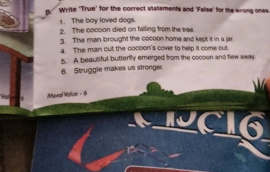 B. Write 'True' for the correct statements | StudyX