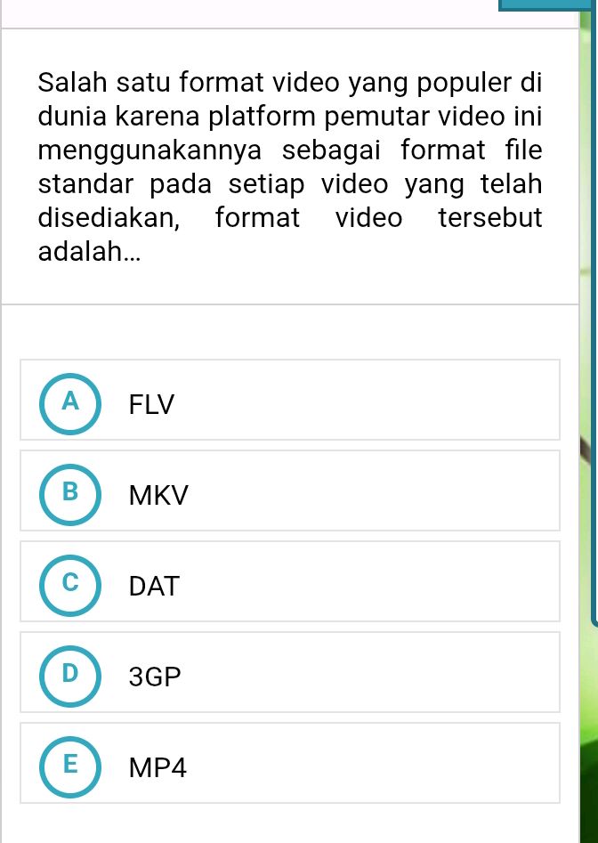 Salah satu format video yang populer di | StudyX