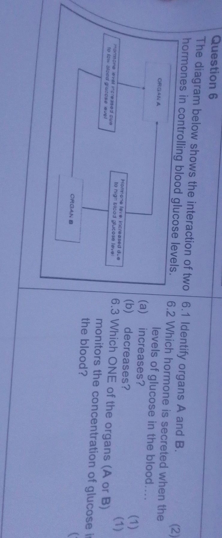 6. The diagram below shows the interaction | StudyX