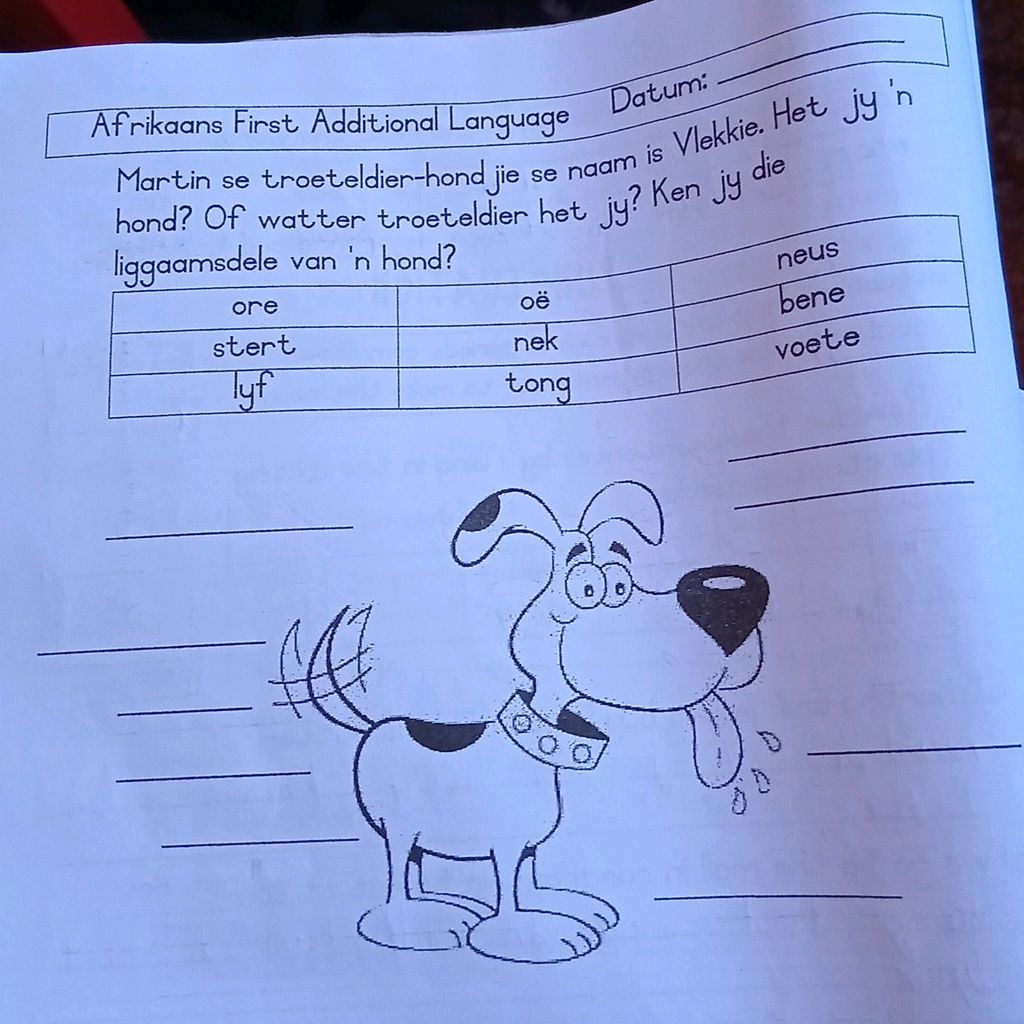 Afrikaans First Additional Language Martin | StudyX