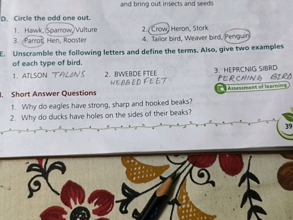 D. Circle the odd one out. 1. Hawk, | StudyX