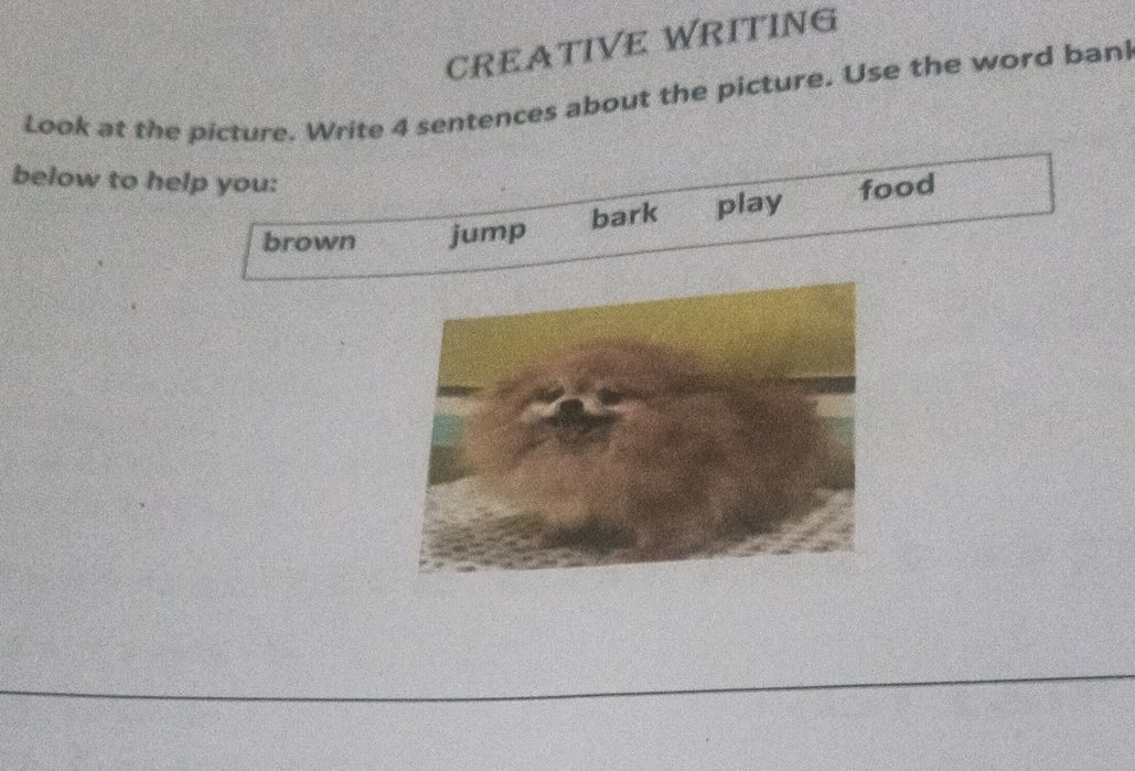 Look at the picture. Write 4 sentences about | StudyX