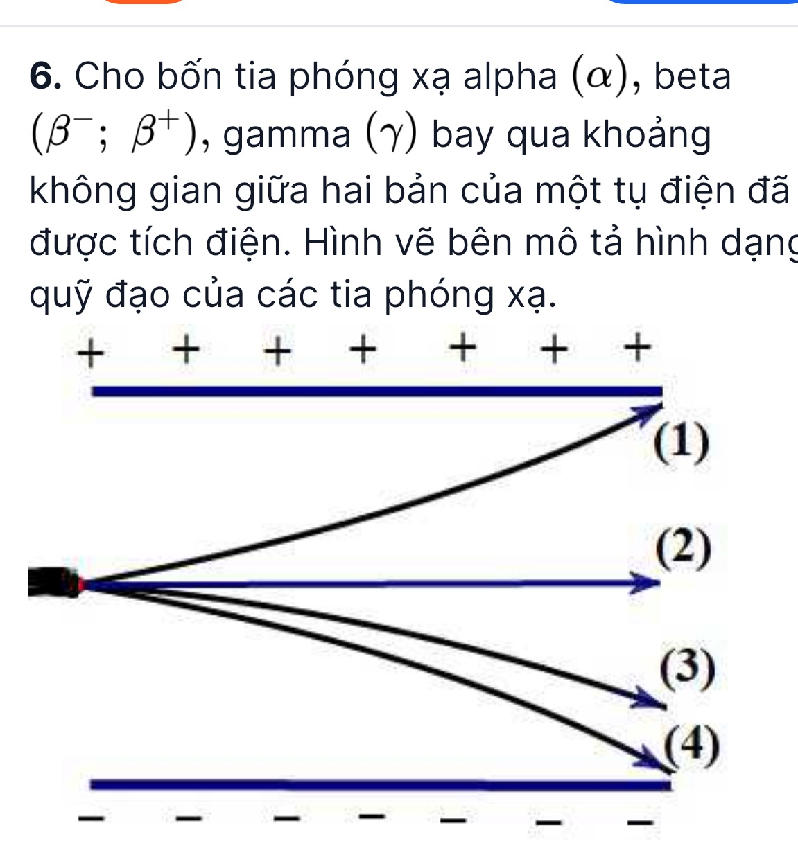 Cho bốn tia phóng xạ alpha (α), beta (β⁻;