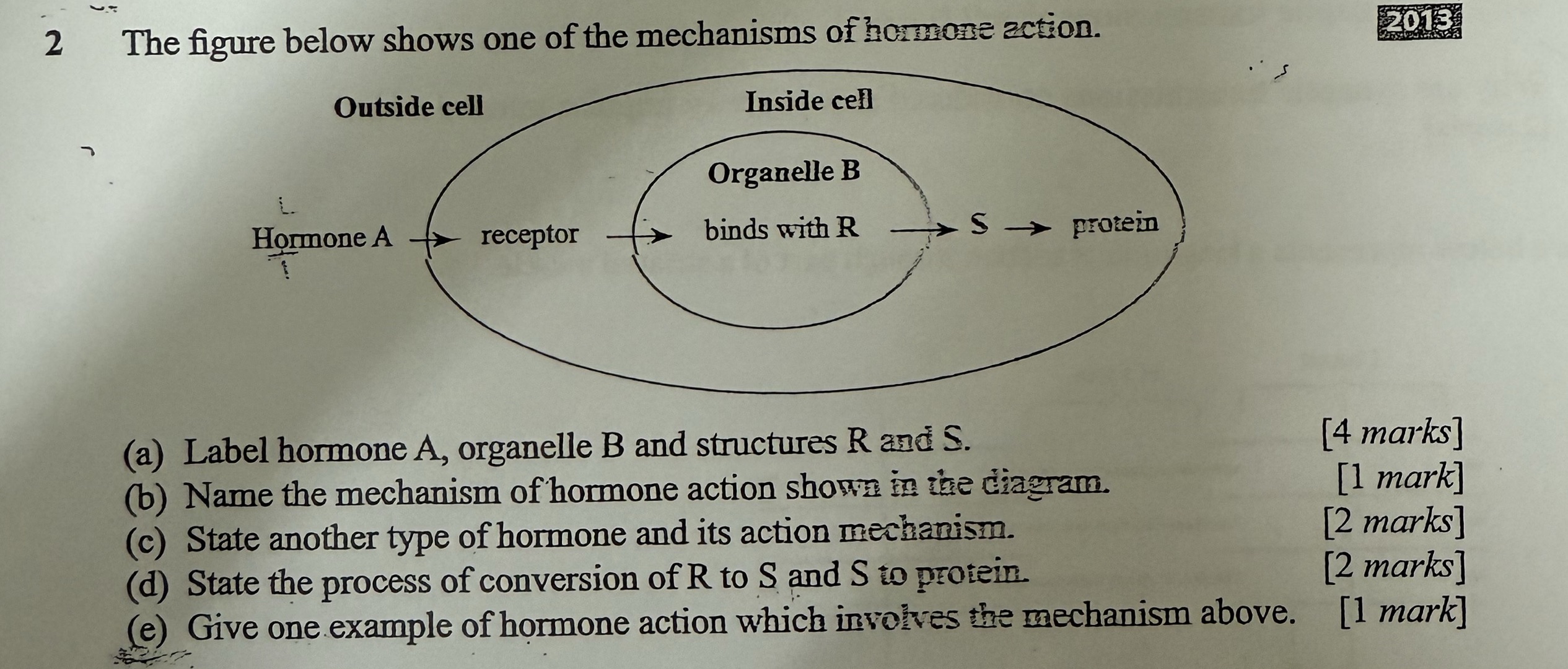 The figure below shows one of the mechanisms | StudyX