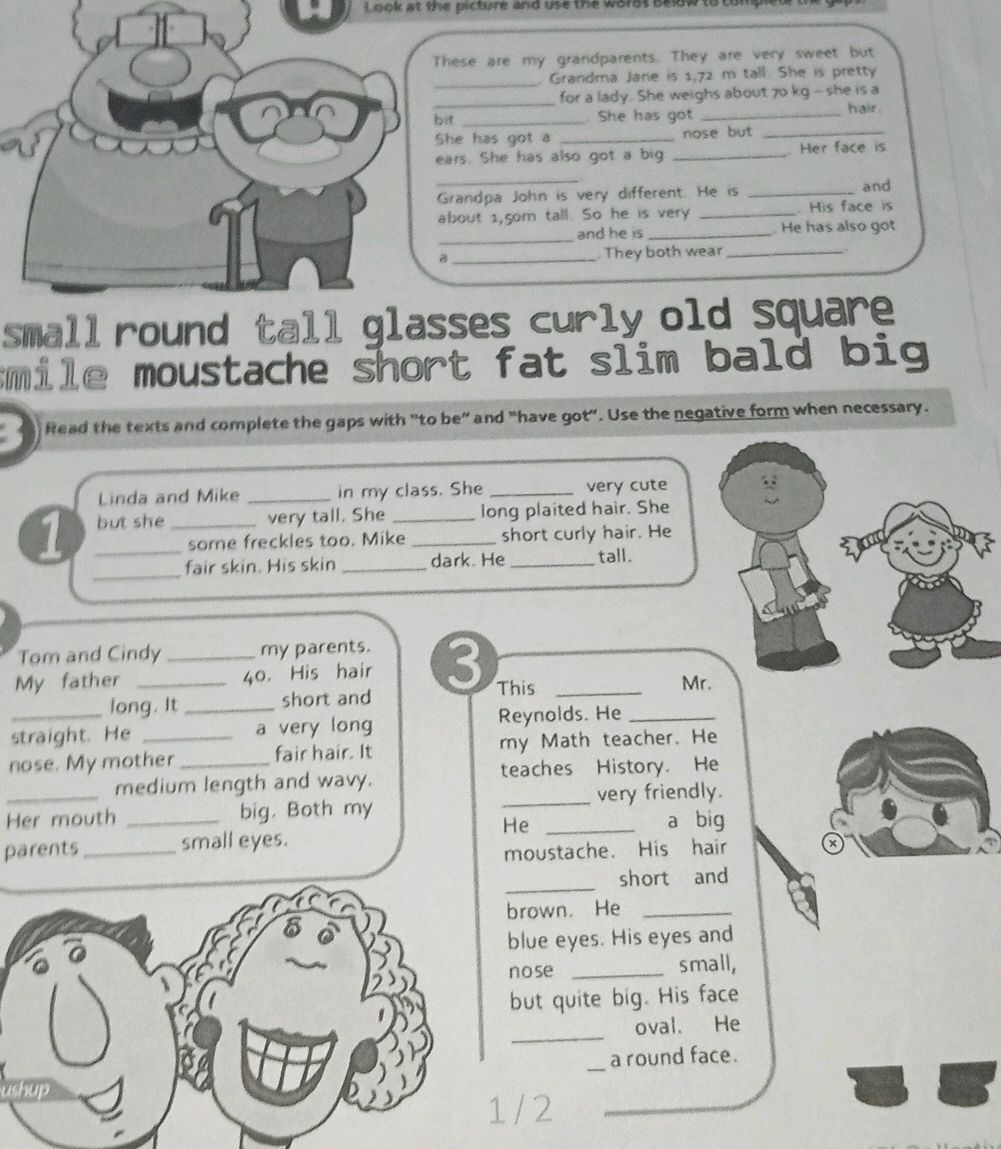 Read the texts and complete the gaps with | StudyX