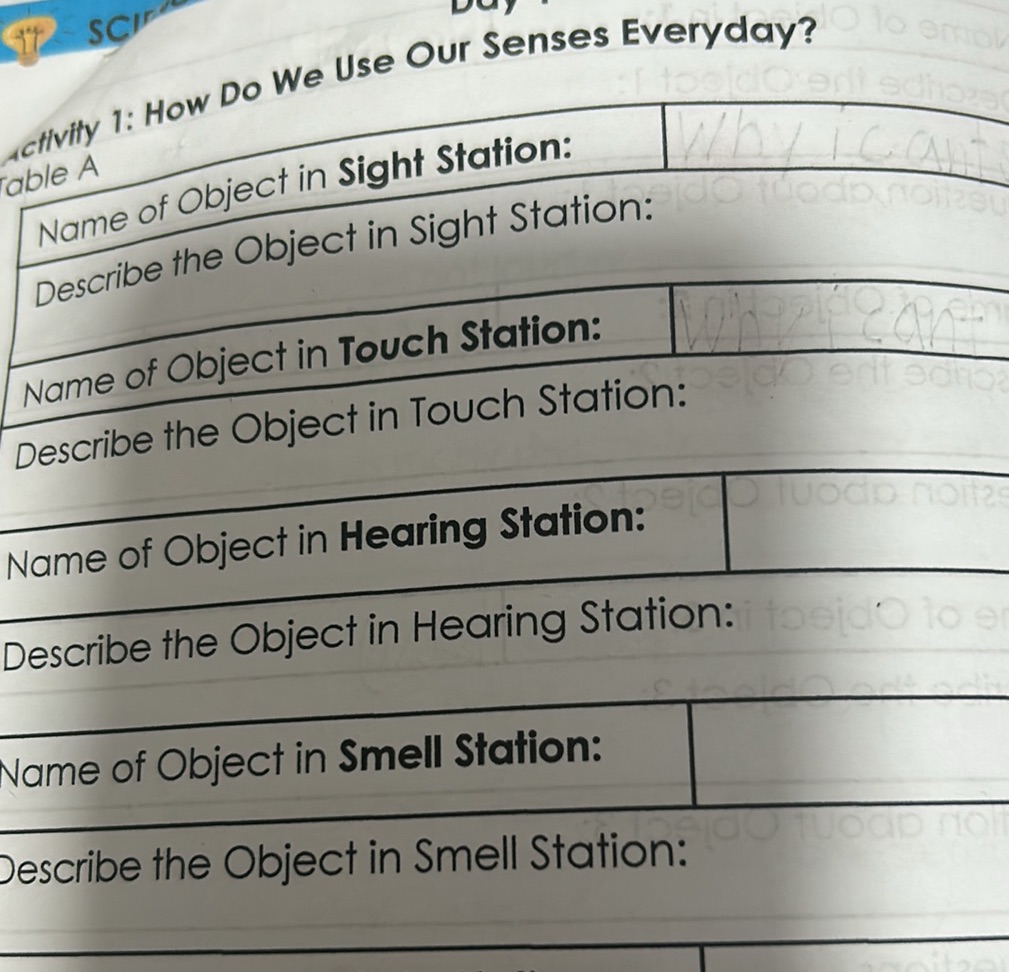 Activity 1: How Do We Use Our Senses | StudyX