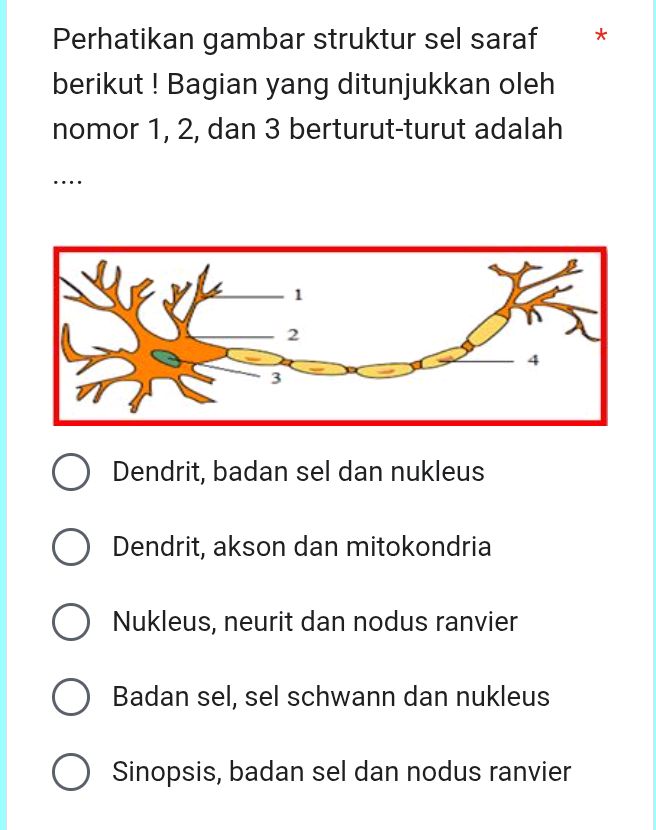Perhatikan gambar struktur sel saraf | StudyX