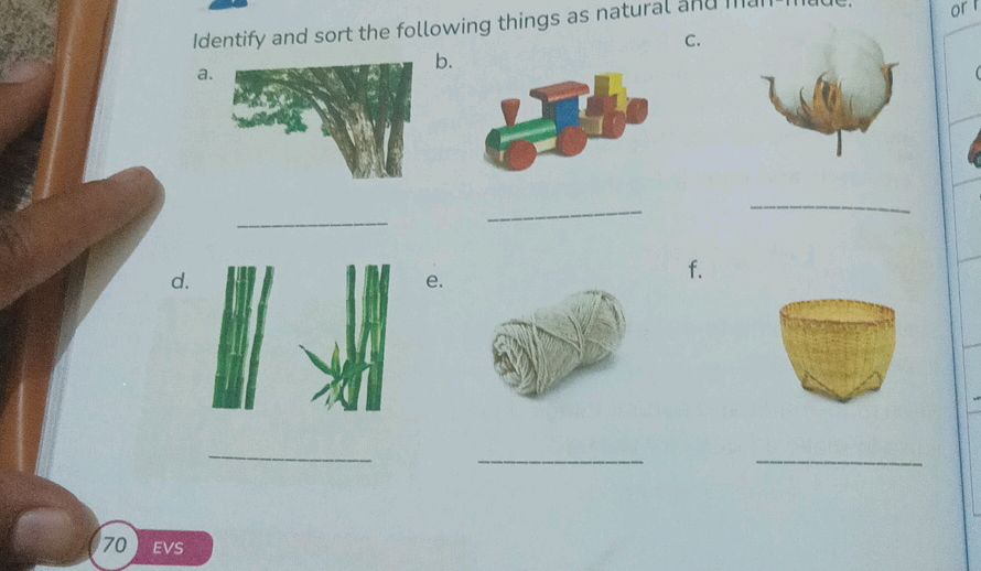Identify and sort the following things as | StudyX