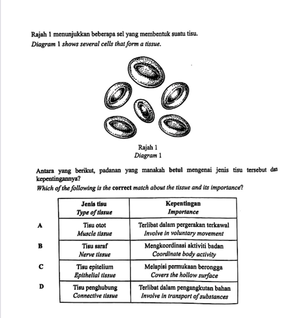 Rajah 1 menunjukkan beberapa sel yang | StudyX