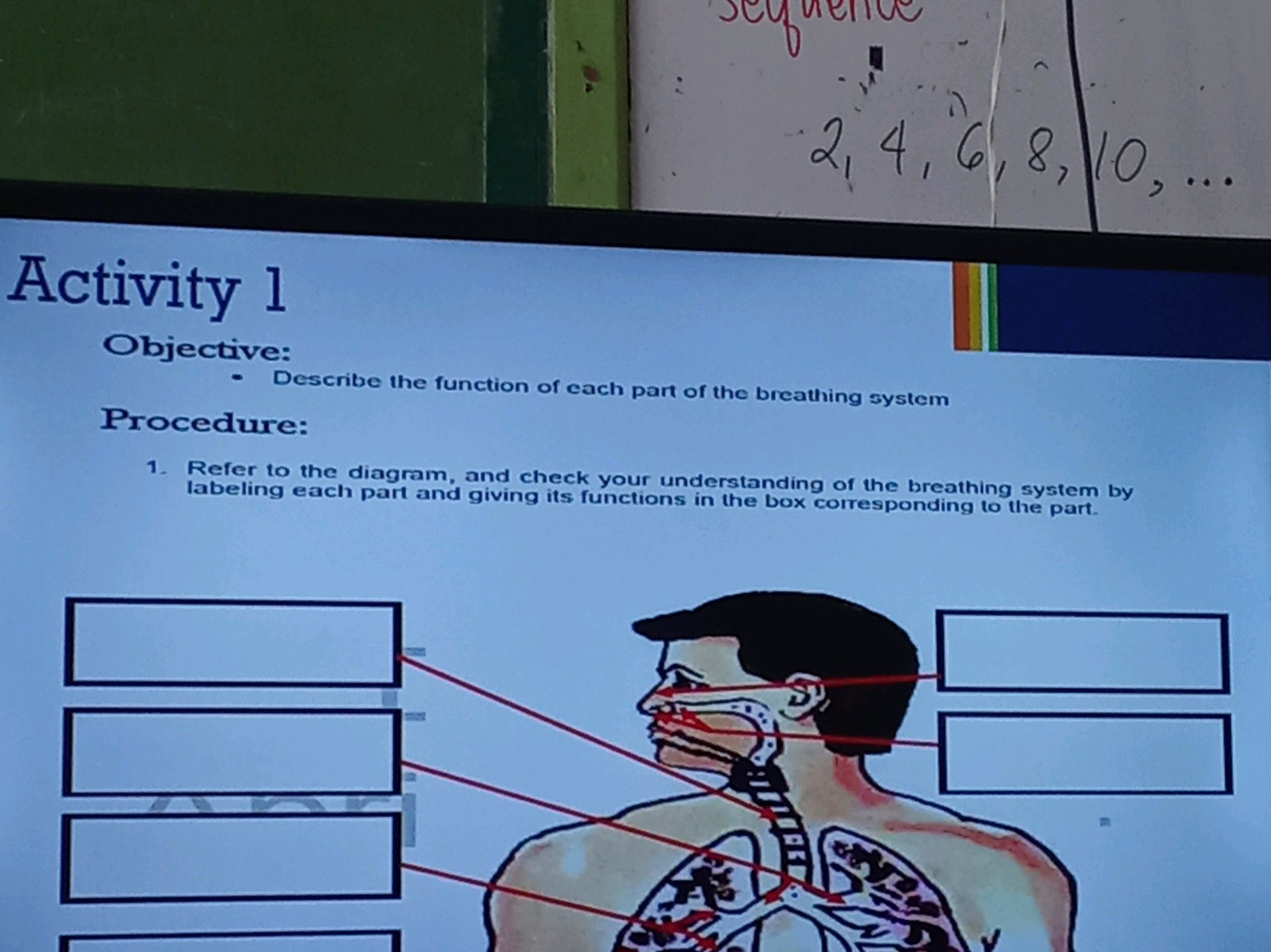 Activity 1 Objective: - Describe the | StudyX