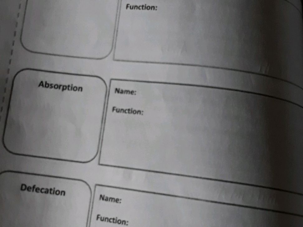 Absorption Name: Function: Defecation | StudyX