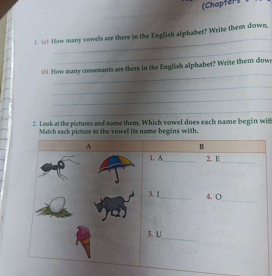 1. (a) How many vowels are there in the | StudyX