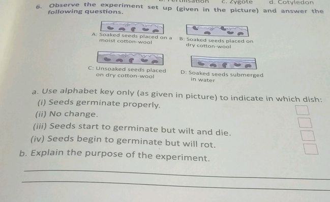 6. Observe the experiment set up (given in | StudyX