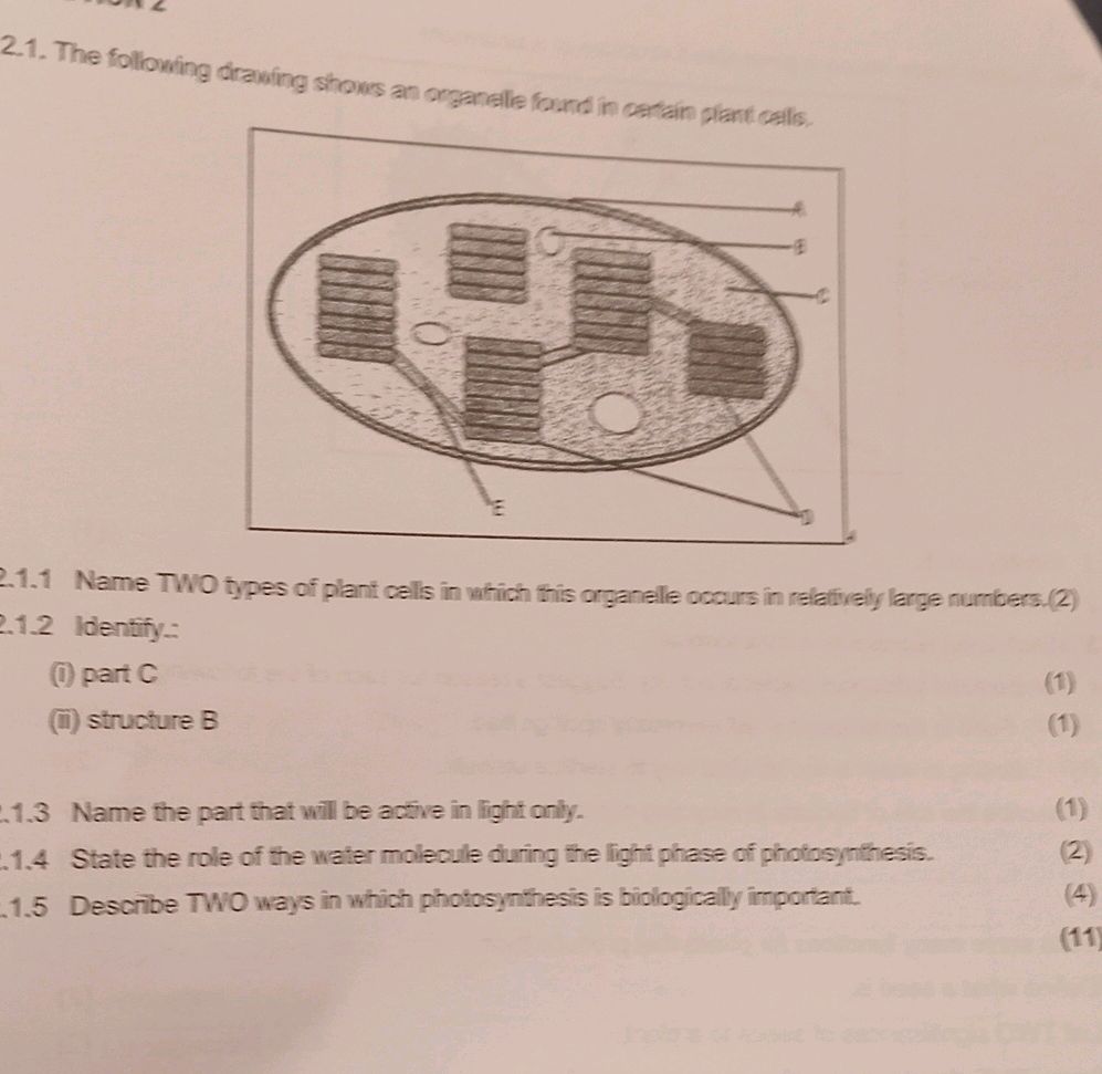 2.1. The following drawing shows an | StudyX