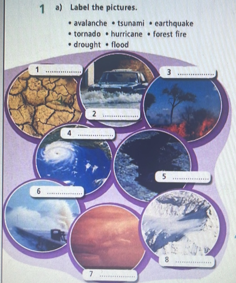 1 a) Label the pictures. * avalanche * | StudyX