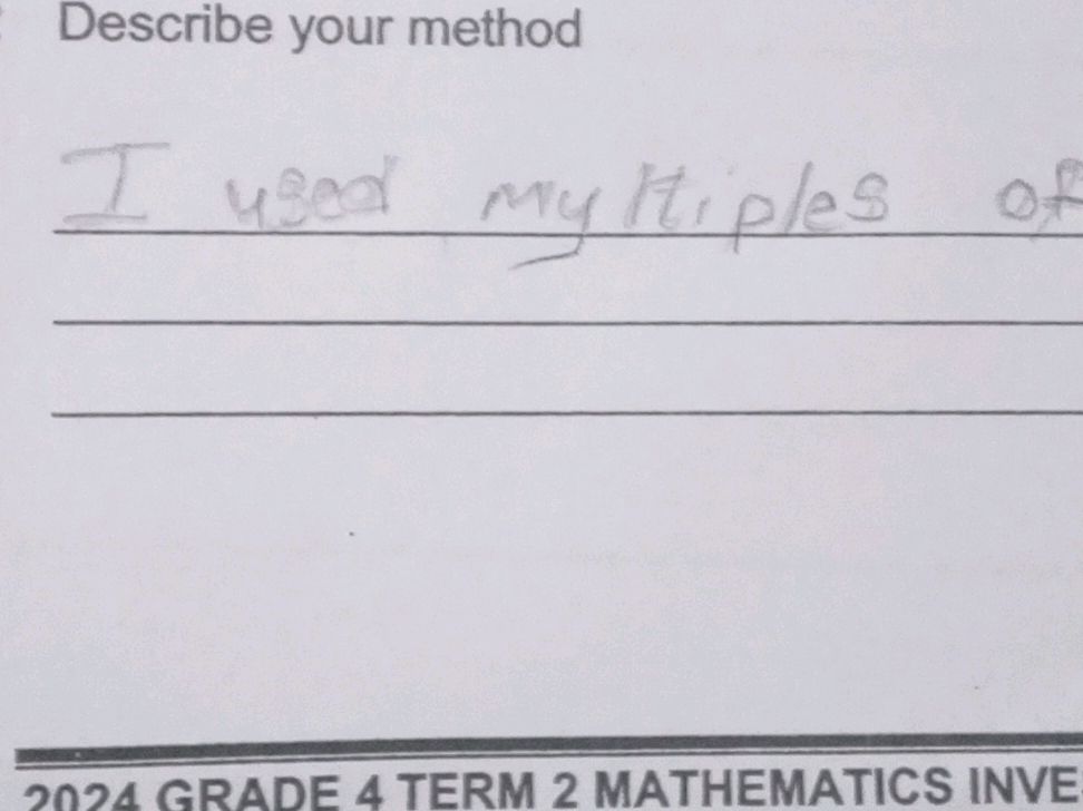 Describe your method I used myltiples of | StudyX