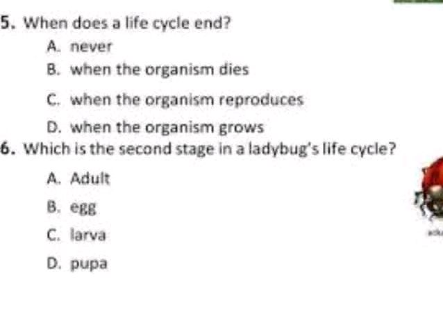 When does a life cycle end? A. never B. when