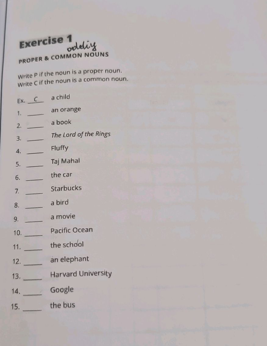 Write P if the noun is a proper noun. Write | StudyX