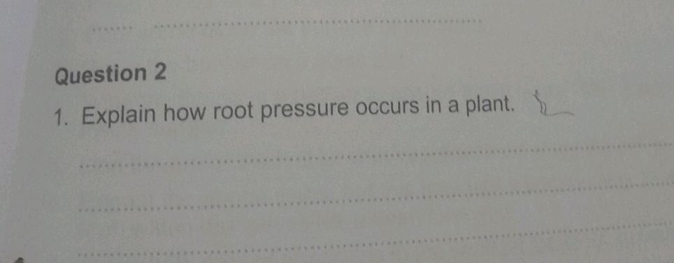 Question 2 1. Explain how root pressure | StudyX
