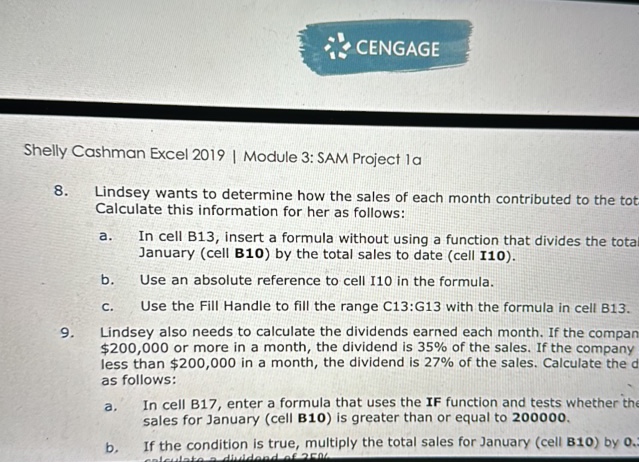 CENGAGE Shelly Cashman Excel 2019 Module 3