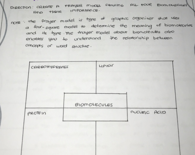 DIRECTION CREATE A FRAYER MODEL SHOWING ALL | StudyX