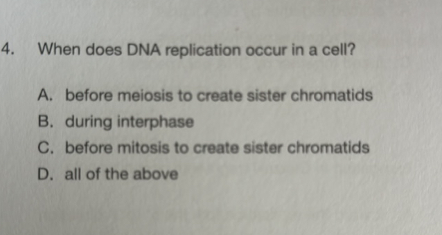 4 When does DNA replication occur in a cell | StudyX