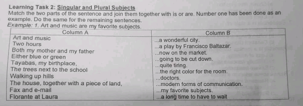 Learning Task 2 Singular and Plural | StudyX