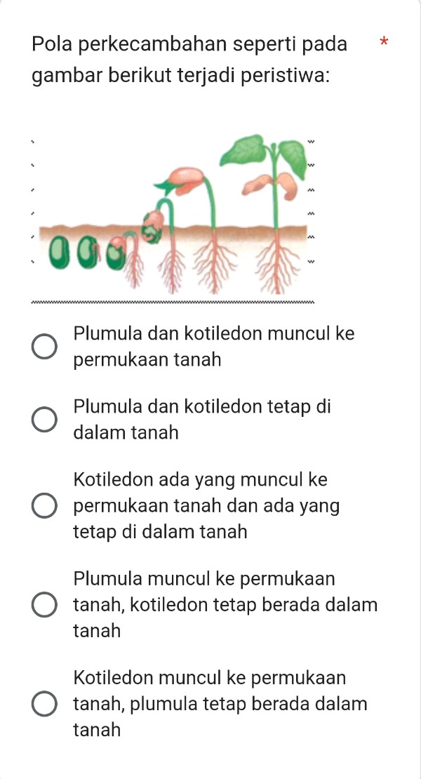 Pola perkecambahan seperti pada gambar | StudyX