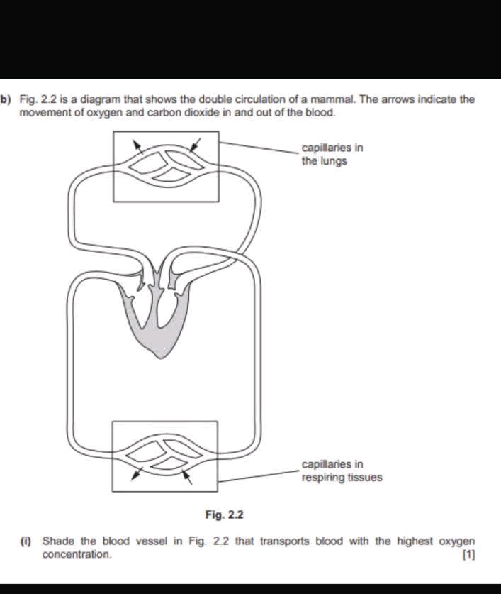 b) Fig 22 is a diagram that shows the double | StudyX