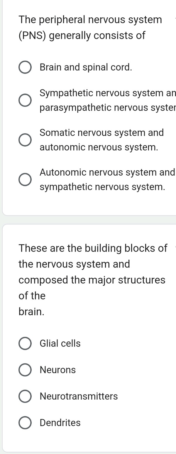 The peripheral nervous system PNS generally | StudyX