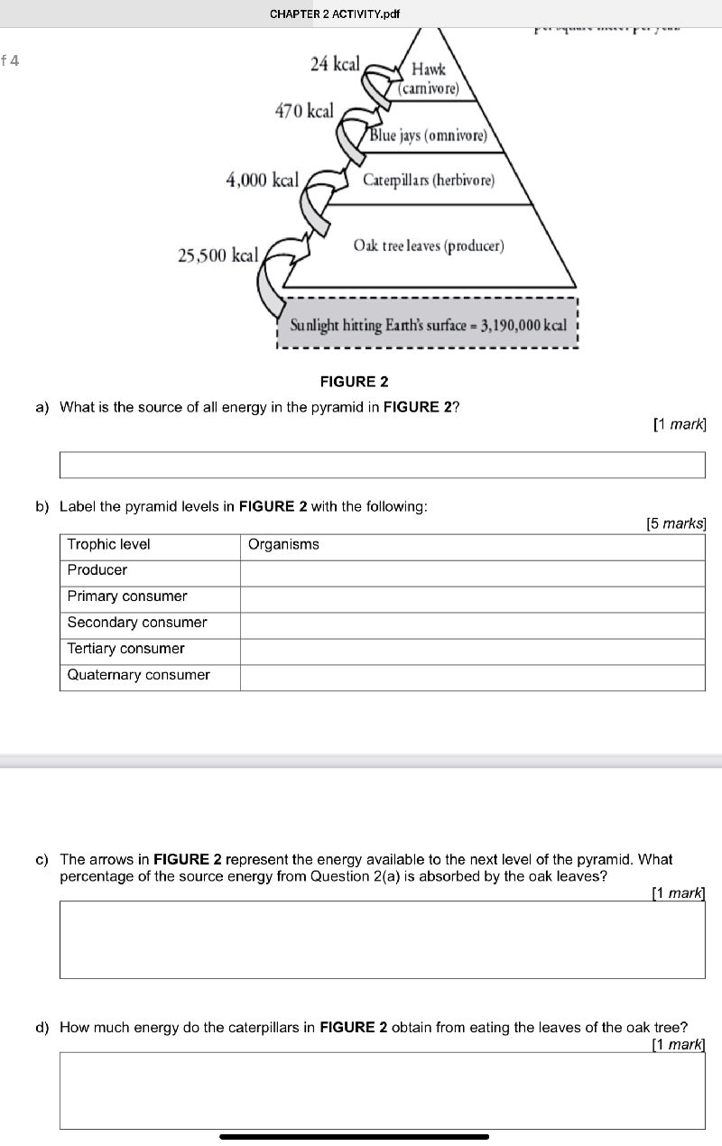 CHAPTER 2 ACTIVITYpdf 24 kcal Hawk | StudyX