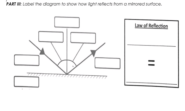 PART III Label the diagram to show how light | StudyX