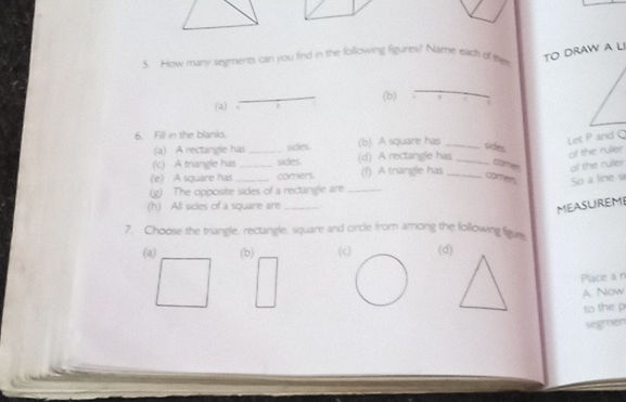 5 How many segments can you find in the | StudyX