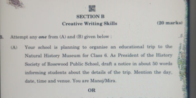 SECTION B Creative Writing Skills (20 marks) | StudyX