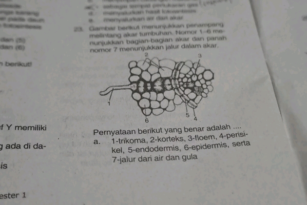 Gambar berikut menunjukkan perampang | StudyX