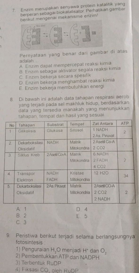7 Enzim merupakan senyawa protein katalitik | StudyX