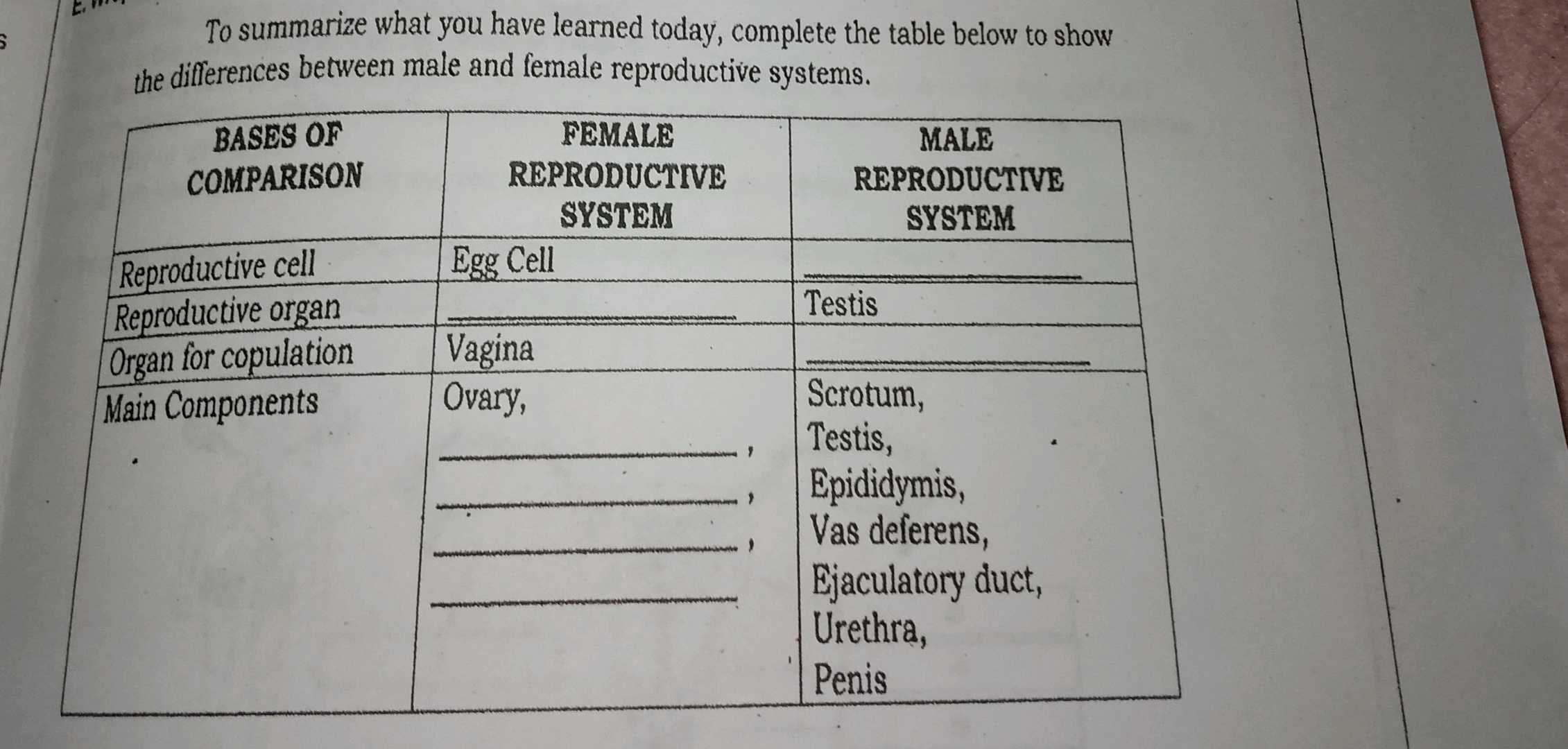 To summarize what you have learned today | StudyX