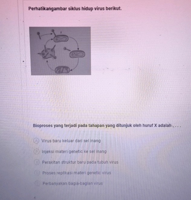Perhatikangambar siklus hidup virus berikut | StudyX