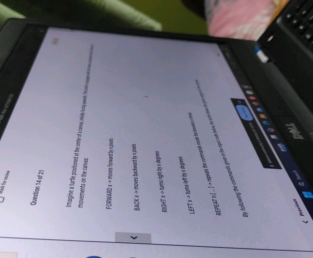 Imagine a turtle positioned at the center of | StudyX