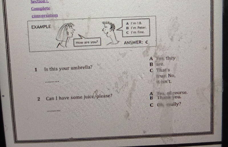 Section Complete conversation EXAMPLE How | StudyX