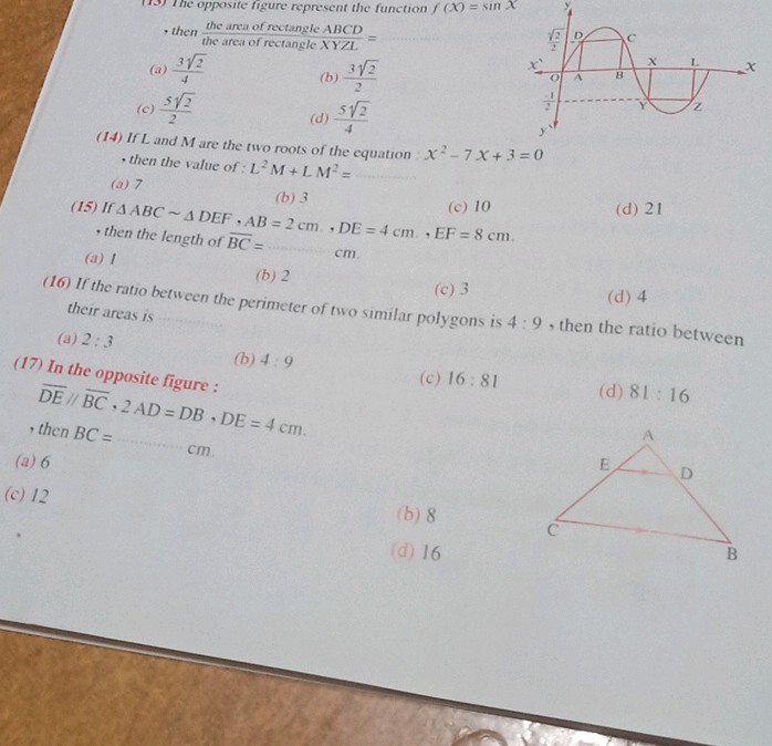 The opposite figure represent the function | StudyX