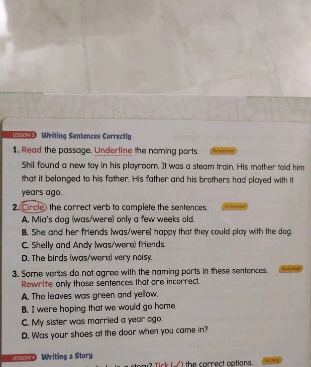 LESSON 3 Writing Sentences Correctly 1 Read | StudyX