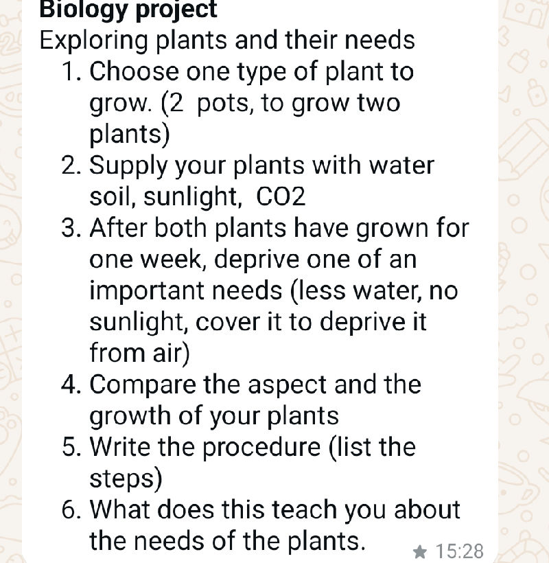Biology project Exploring plants and their | StudyX