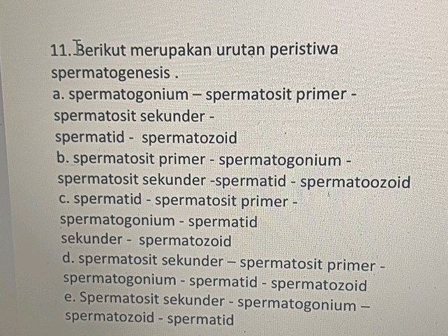 11 Berikut merupakan urutan peristiwa | StudyX